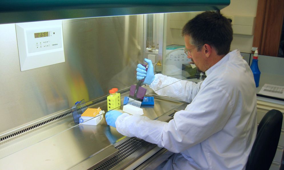 Velvet Composition » Deer Velvet New Zealand